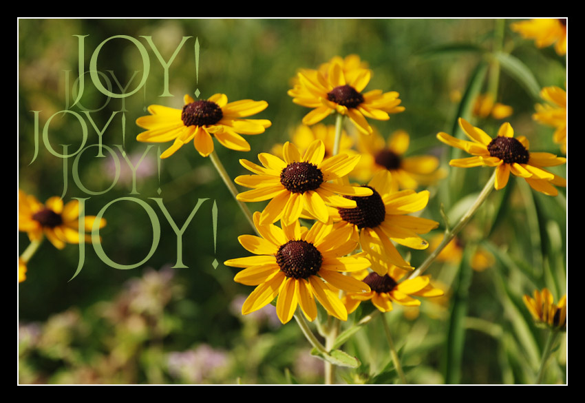 thought-on-joy-pic | Redemption